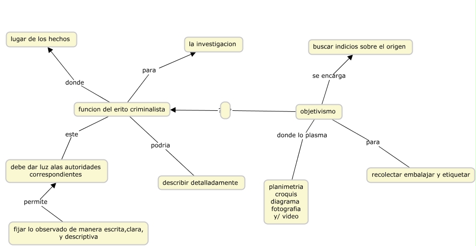 TAREA 2 FLORES MARYSABE prueba L